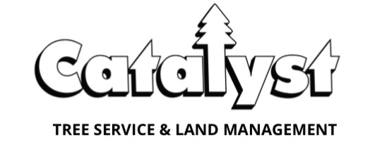 Catalyst Tree Service | San Luis Obispo County Tree Removal ...