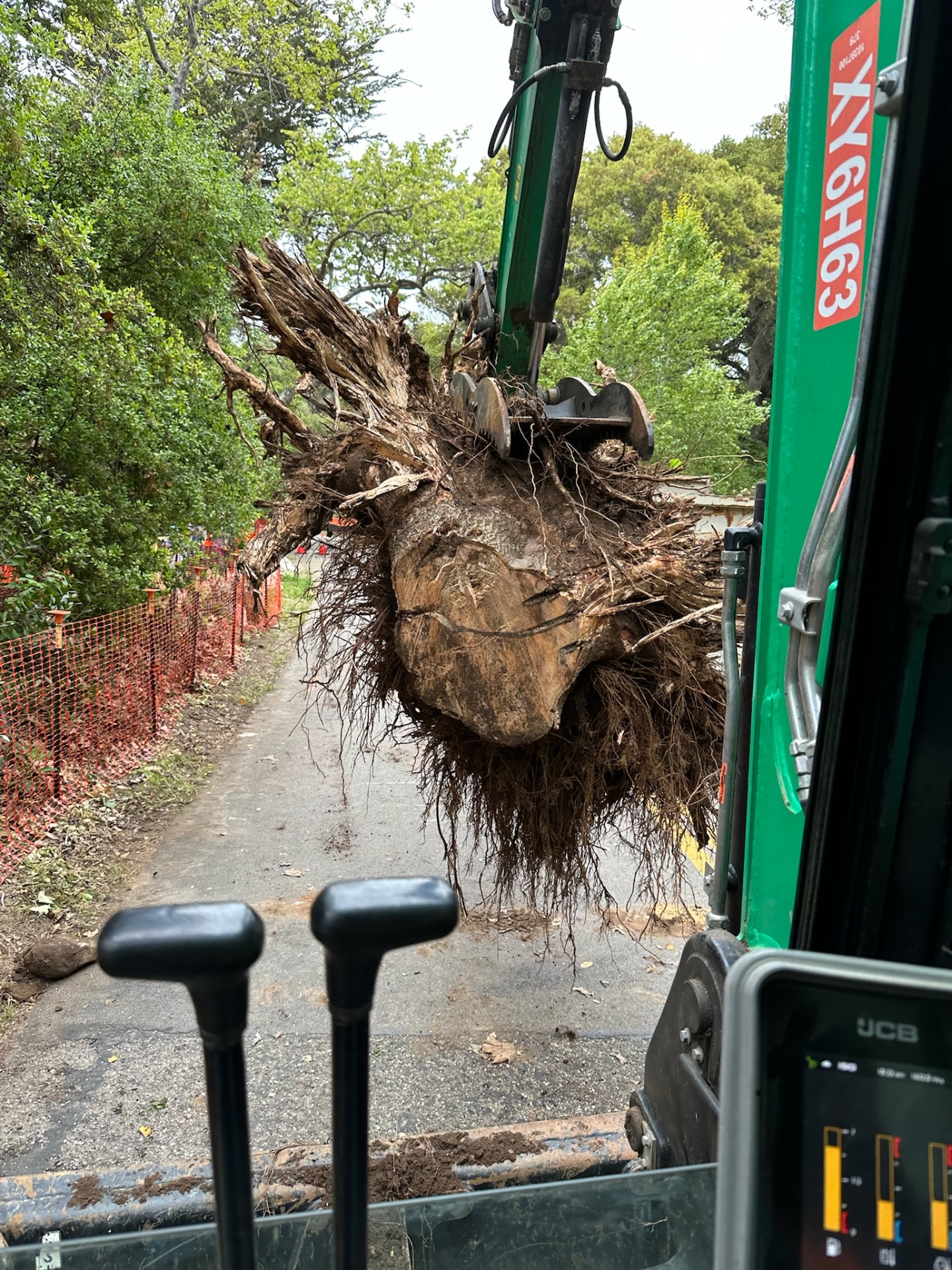 Catalyst Tree Service | San Luis Obispo County Tree Removal ...